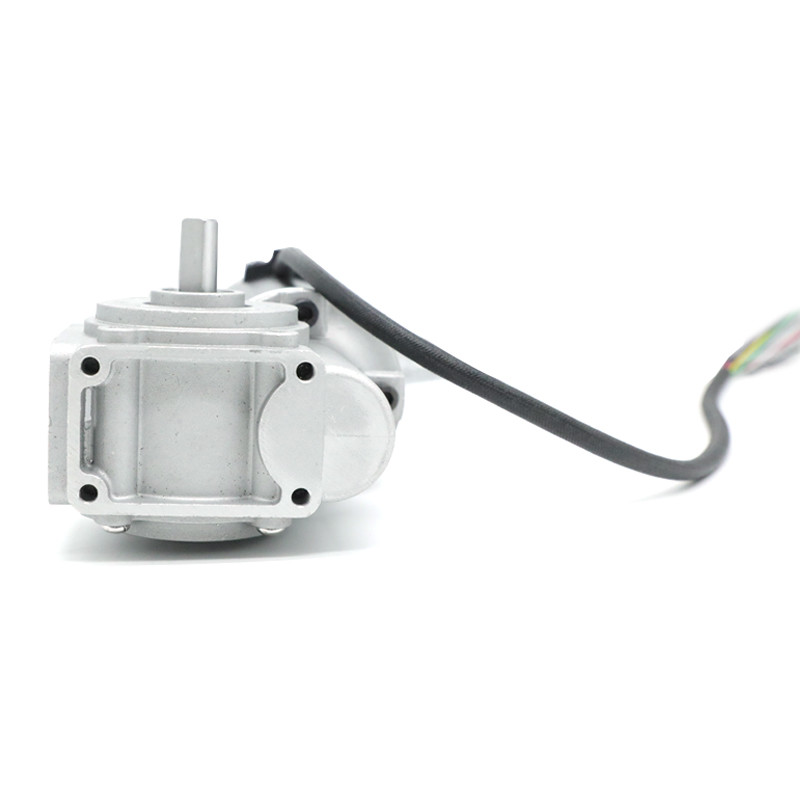 62BLX01A-001WG15 High Torque Worm Gearbox Motor 36v Dc Worm Gear Motor